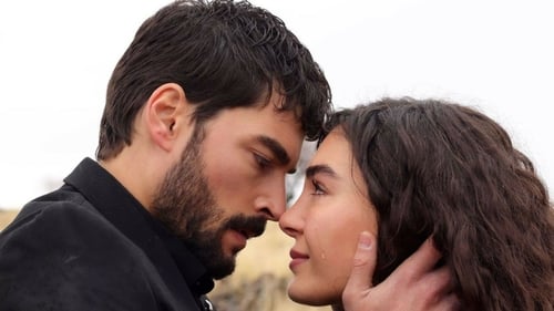 ️ Hercai: 2x13 » Zona Turca ️