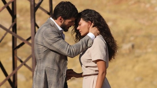 ️ Hercai: 2x2 » Zona Turca ️