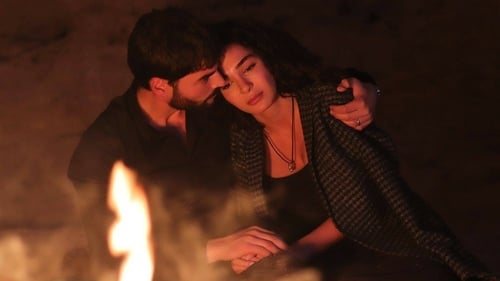 ️ Hercai: 2x9 » Zona Turca ️