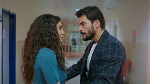 ️ Hercai: 2x8 » Zona Turca ️